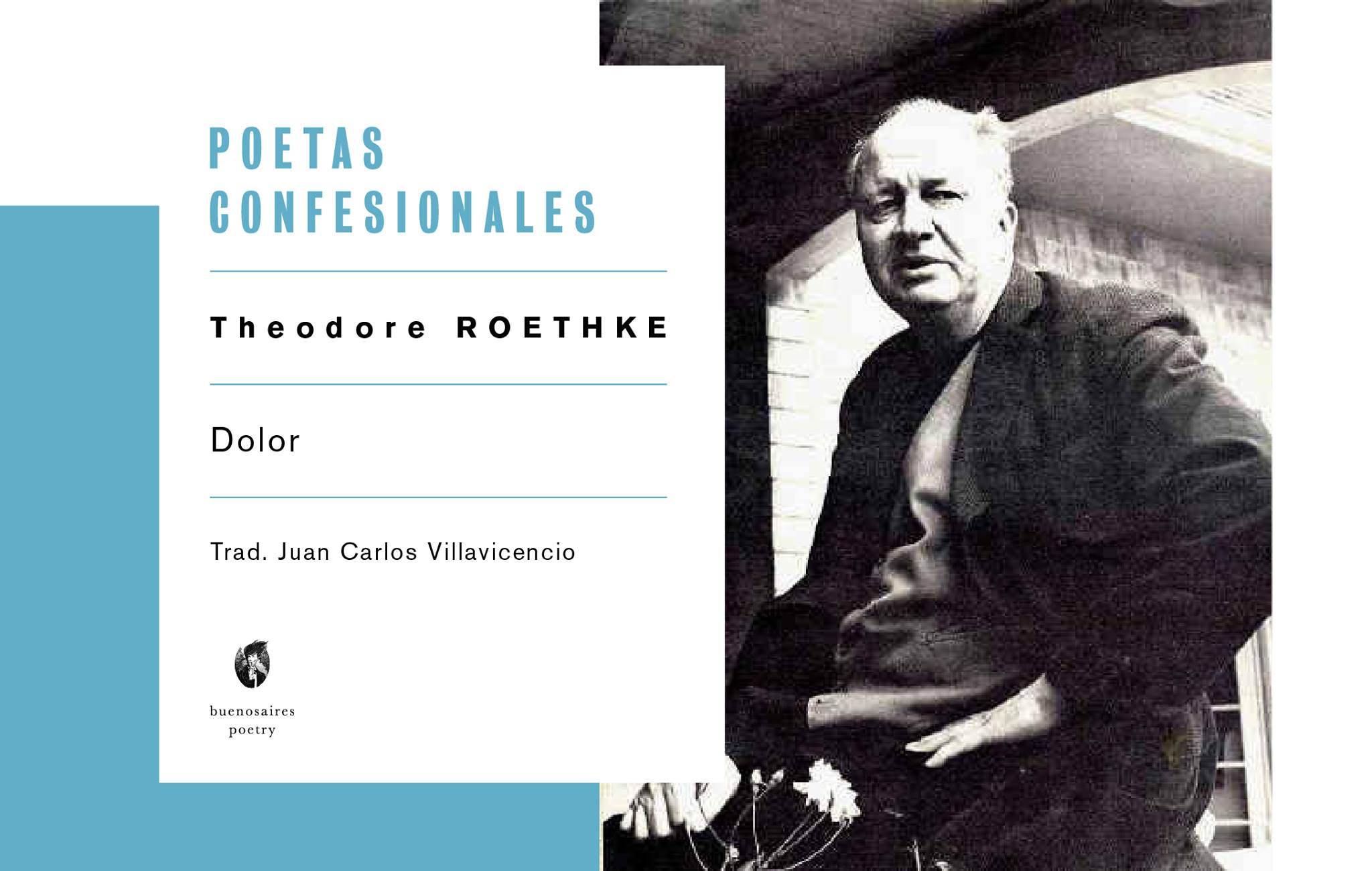 Dolor, de Theodore ROETHKE – Buenos Aires Poetry