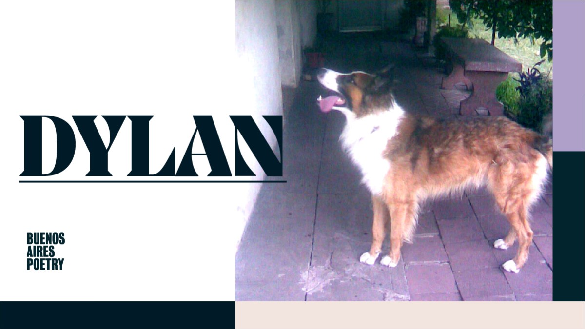 Dylan | Juan Arabia – Buenos Aires Poetry