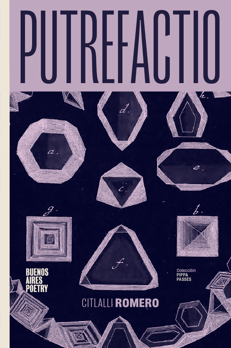 Putrefactio (Colección Pippa Passes, 2021) | Citlalli Romero – Buenos ...